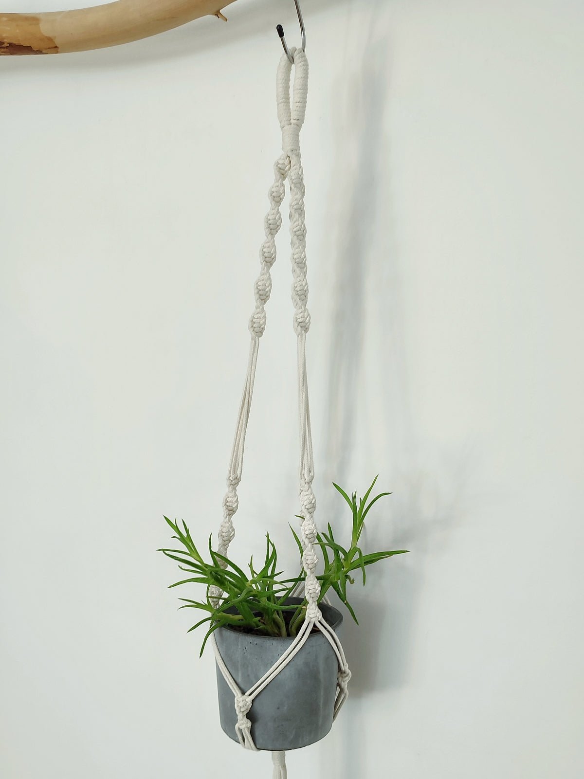 Macetero colgante de macramé Classic Knots – Pepita Topos